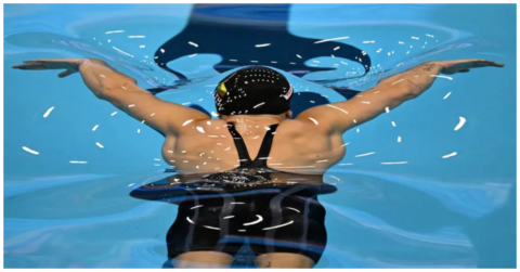 World Aquatics Swimming World Cup 2023: A celebration of inclusivity ...